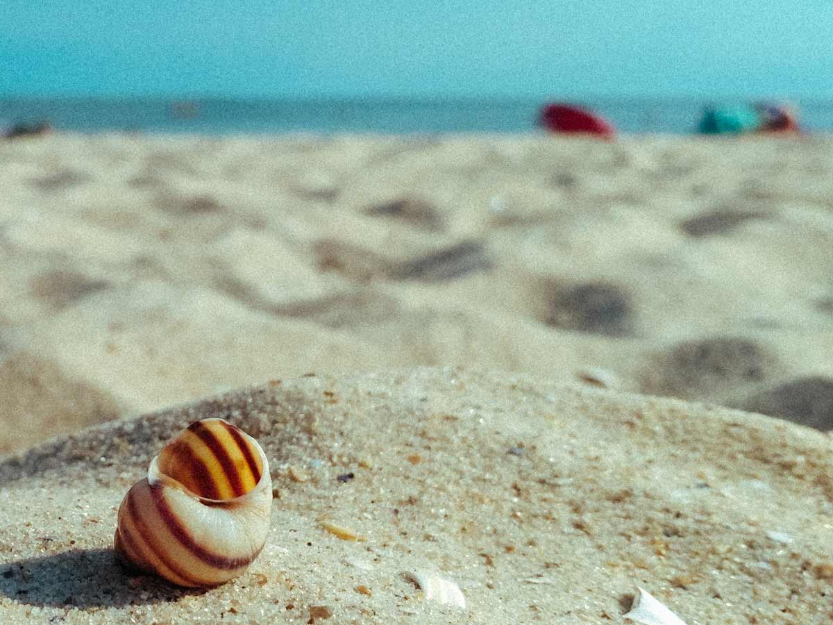 St. Andrews Beach Park on Jekyll Island | Jekyll Island Club Resort